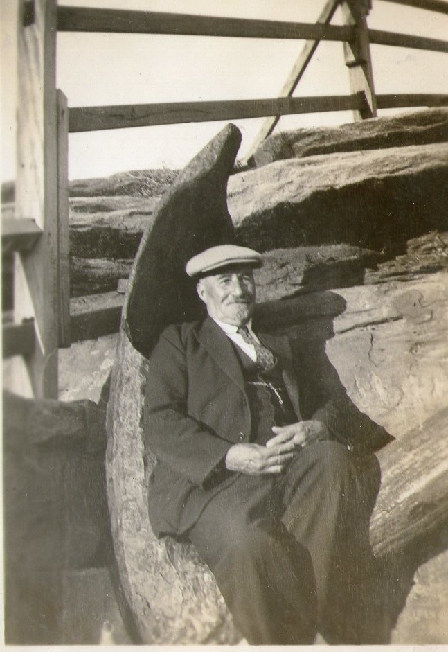 The Bland Family: Annie M Horne