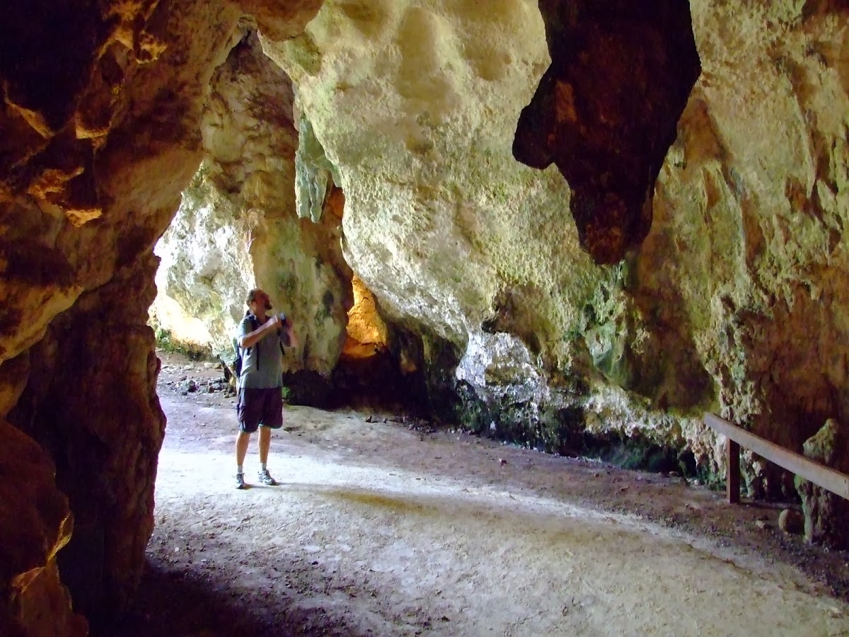 Meander to the Max: Megafauna! And ... where's the water? Bool Lagoon ...