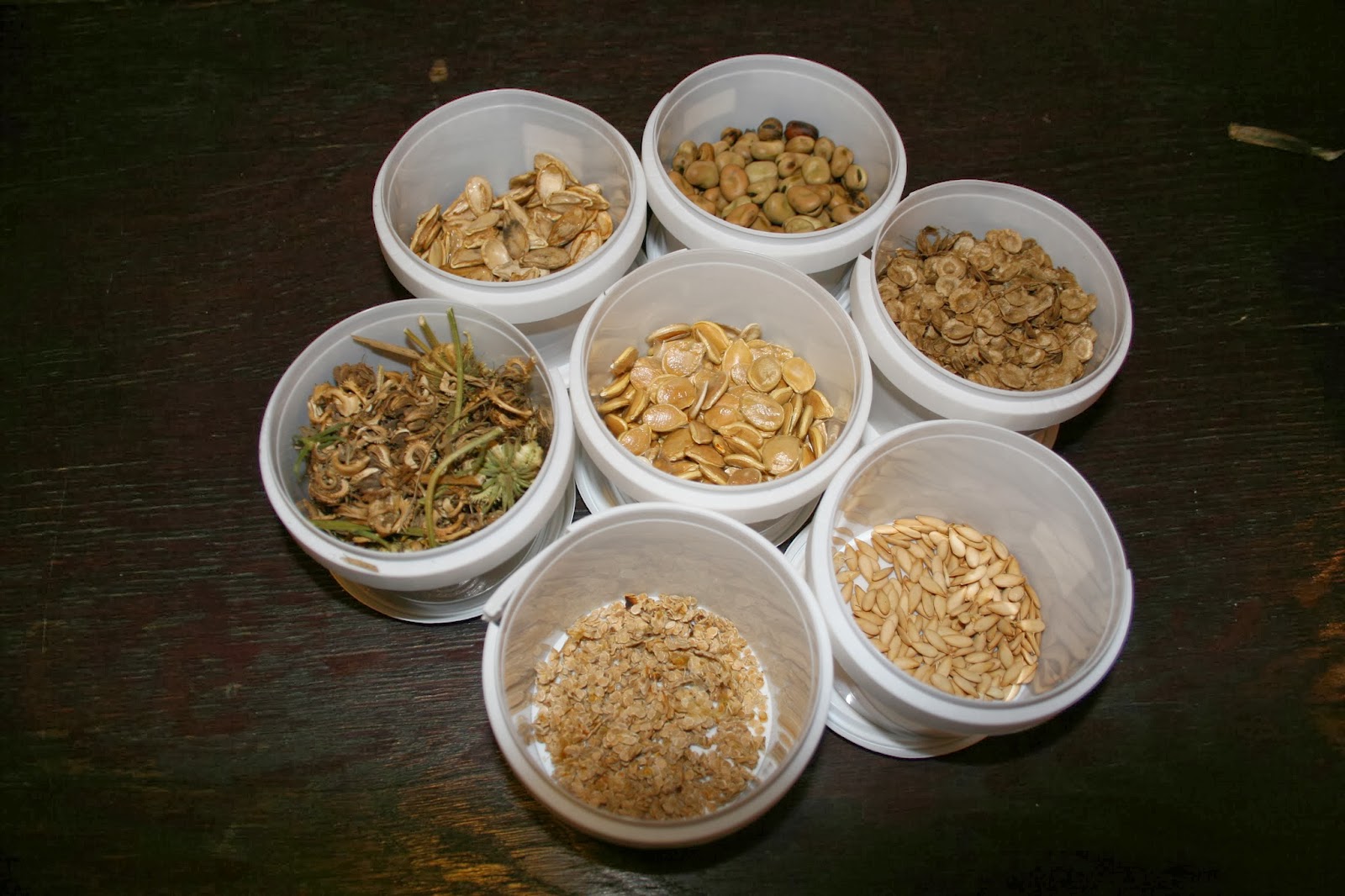 HIŠA Z VRTOM: DOMAČA SEMENA