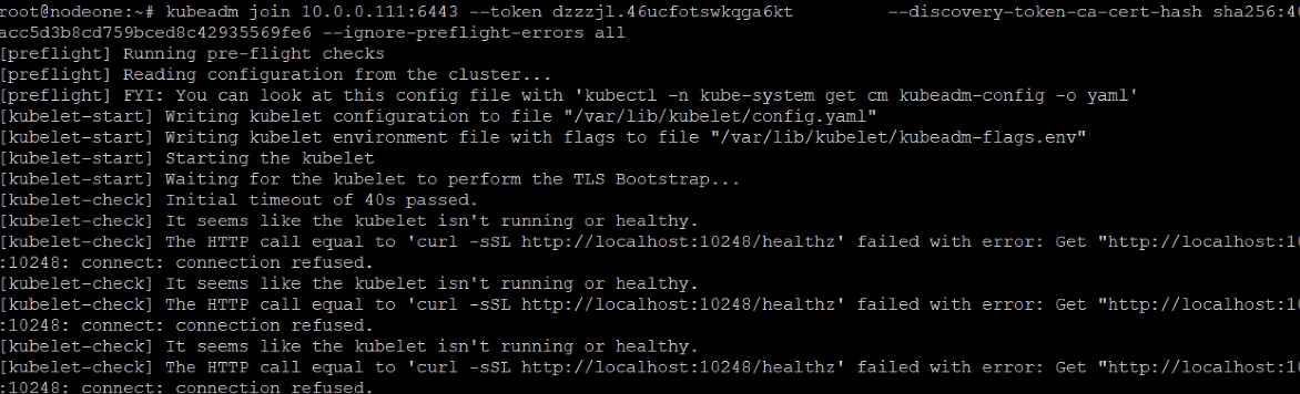 Problem joining node to Kubernetes cluster: dial tcp 127.0.0.1:10248 ...