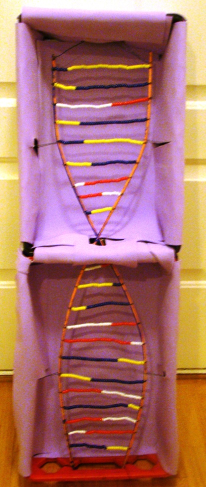 Encircled by the Rainbow: There's No Such Thing as "Junk"