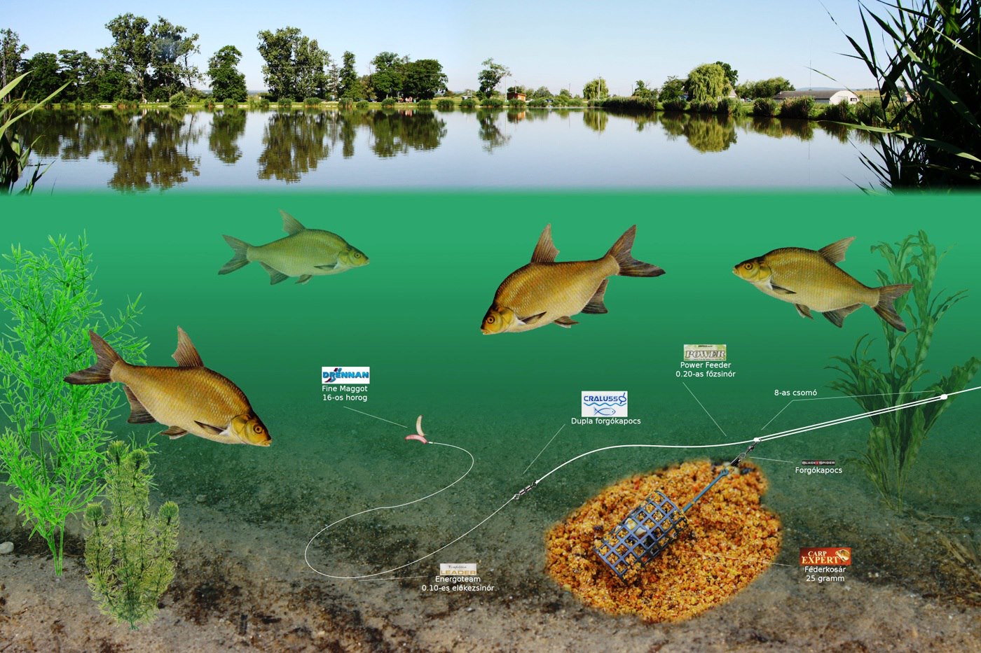 CUADERNO DE PESCA: TODO MONTAGES PARA FEEDER