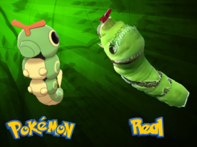 Meet the Real-life Version of your Favourite Bug-type Pokémons here ...