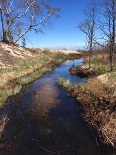 Experience Michigan's Paradise: Hidden Paradise Gems | the Betsy River