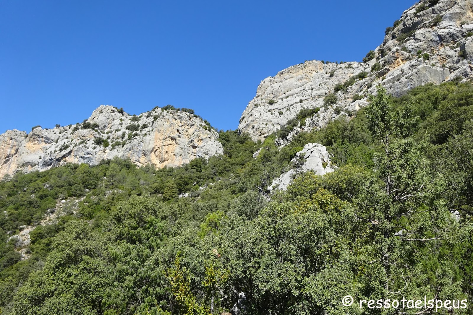 res sota els peus: Ruta circular al roc de Galliner, a la muntanya d'Alinyà