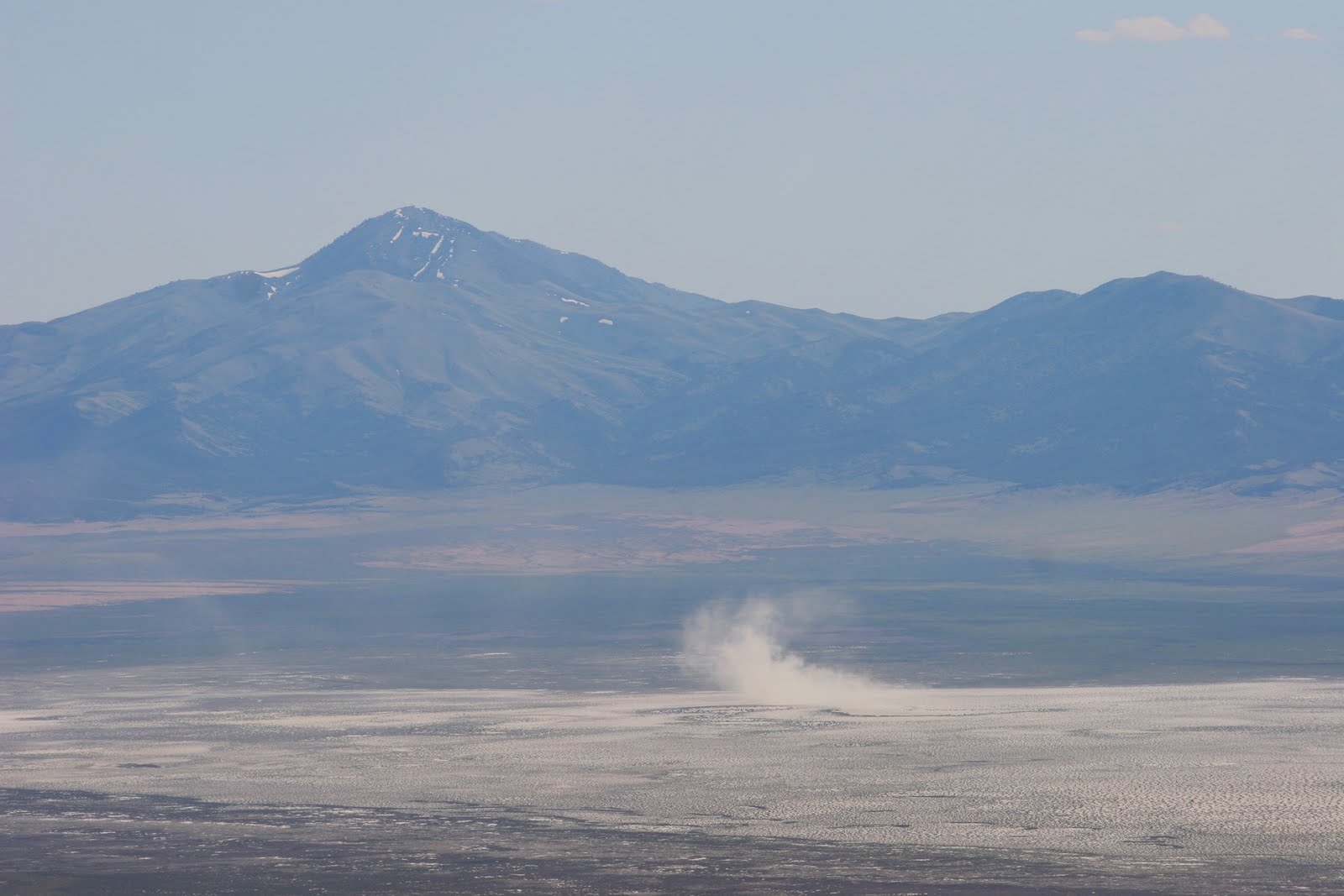 Great Basin Ute: Pequop Mountains, Nevada
