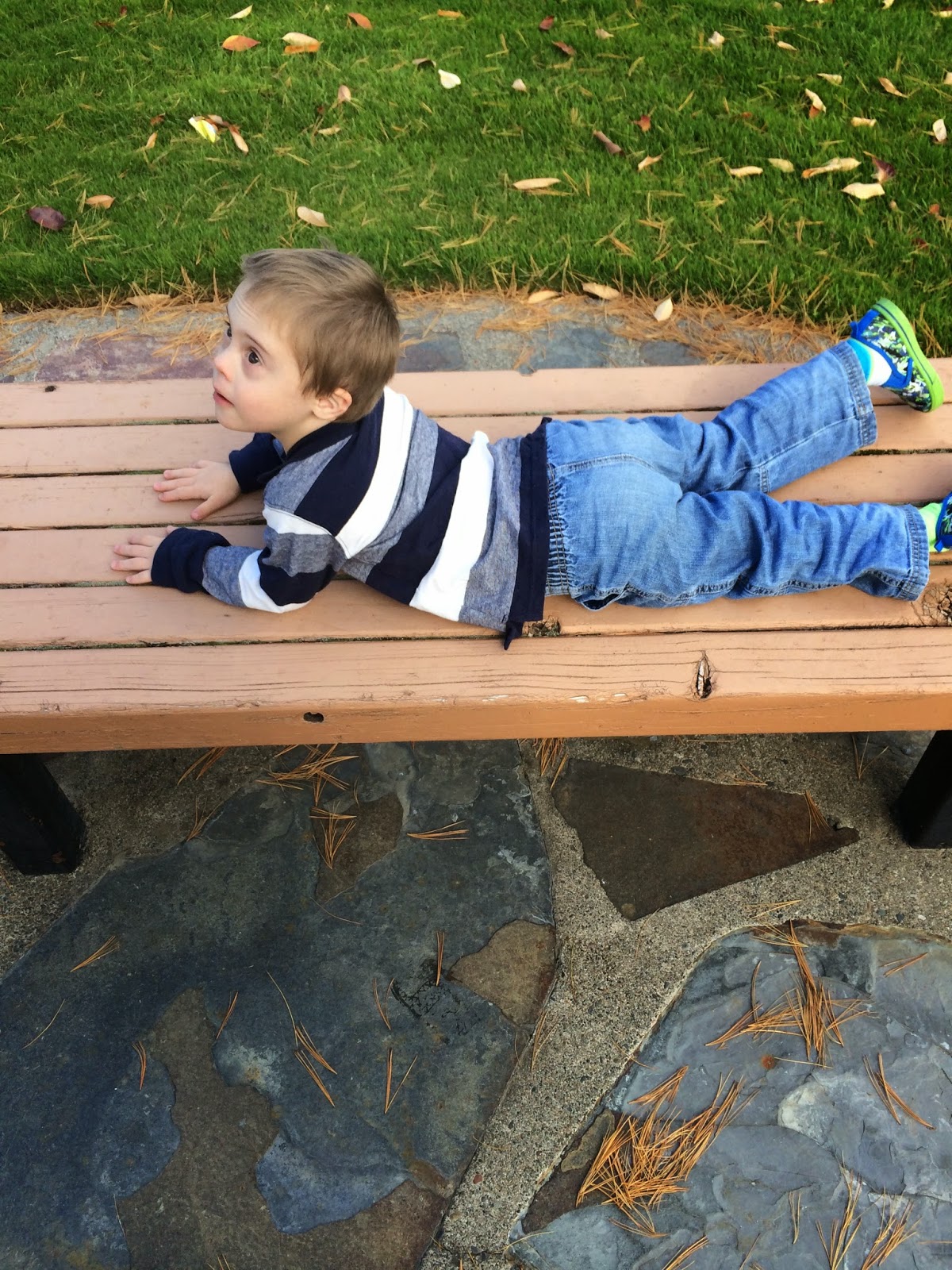 The Ups & Down (syndrome) of the Allred Family: Potty Training: Jacob Style