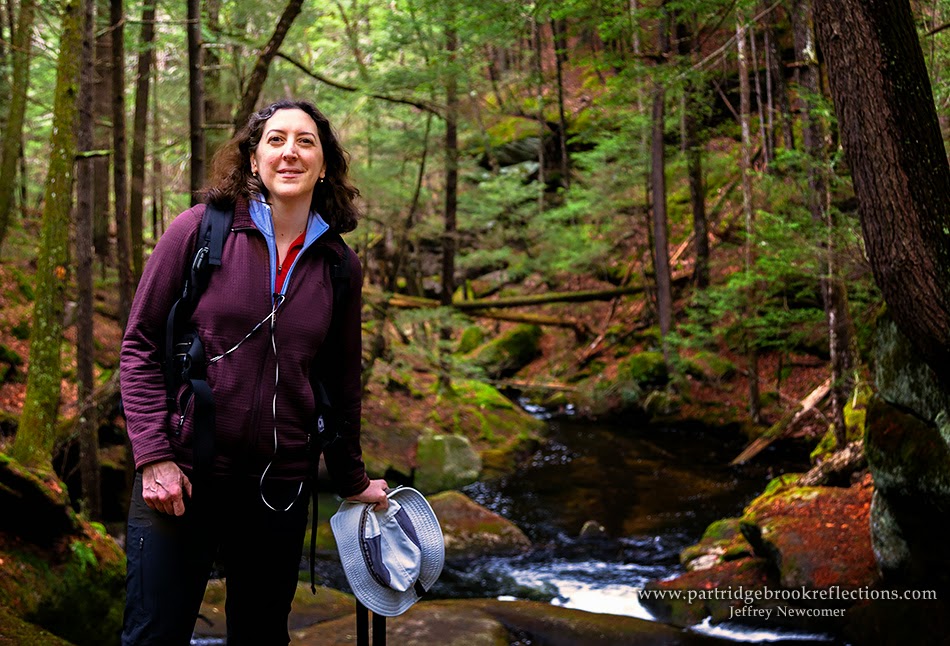 Getting it Right in the Digital Camera : Pulpit Falls (Finally)