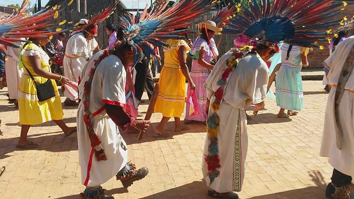 AMOR A MI TIERRA : DANZA LOS MACHETEROS