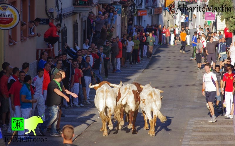 100x100 Toros: Primer encierro de Arganda del Rey con toros de Fernando ...