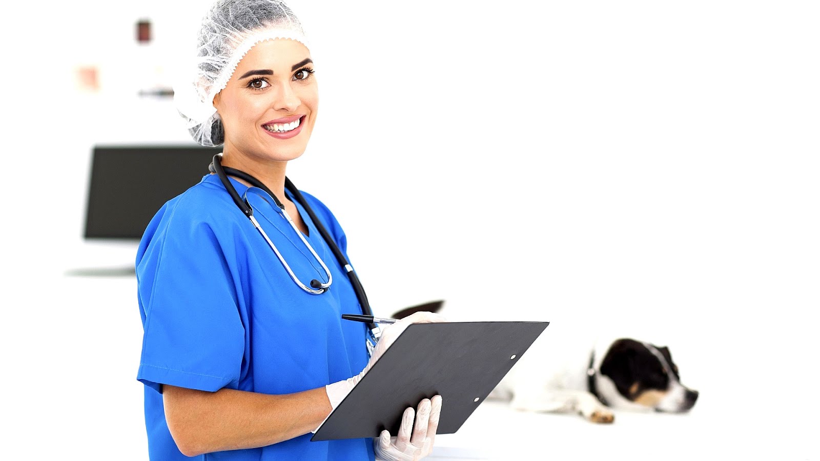 How To Be A Veterinary Assistant Assistant Choices how-to-be-a-veterinary-assistant-assistant-choices
