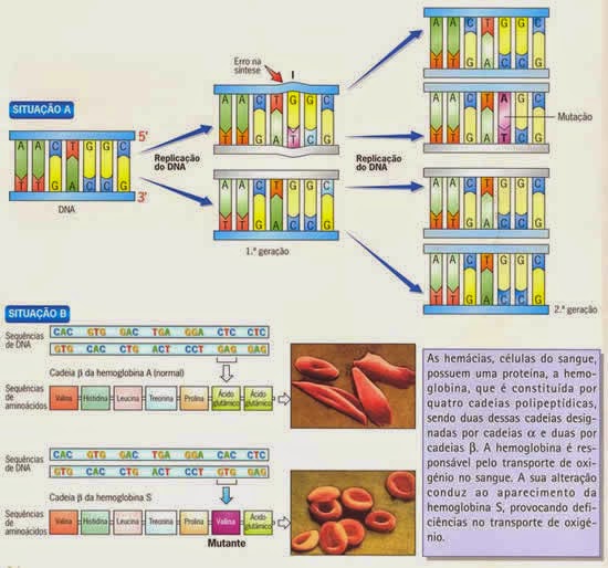 Biologia Ativa: Mutações.