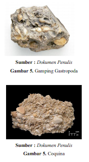 Batuan Sedimen : Pengertian, Proses Pembentukan, Jenis, Tekstur ...