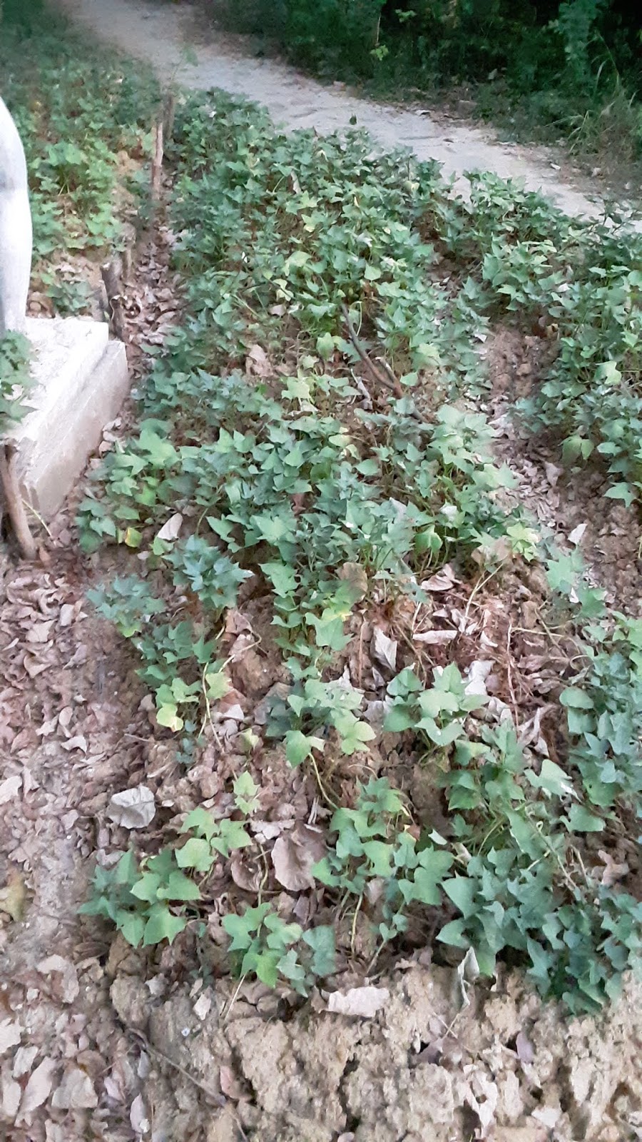 Azriel Johnson, Official Author Blog