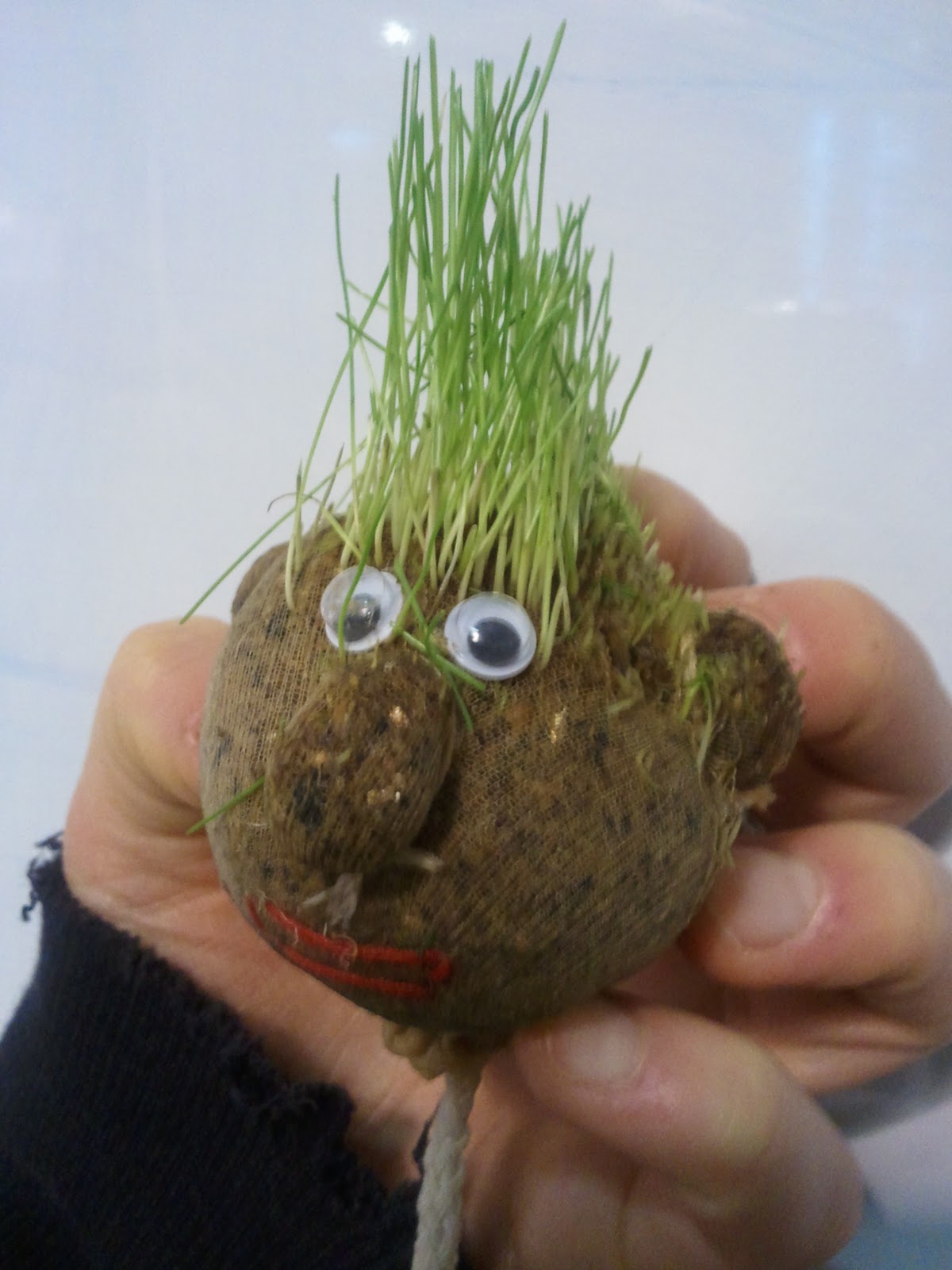 Vivo Miles School Rewards: Grasshead Competition