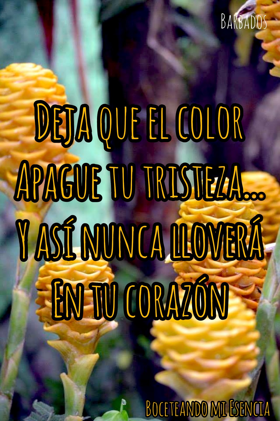 Que el color llene tú vida