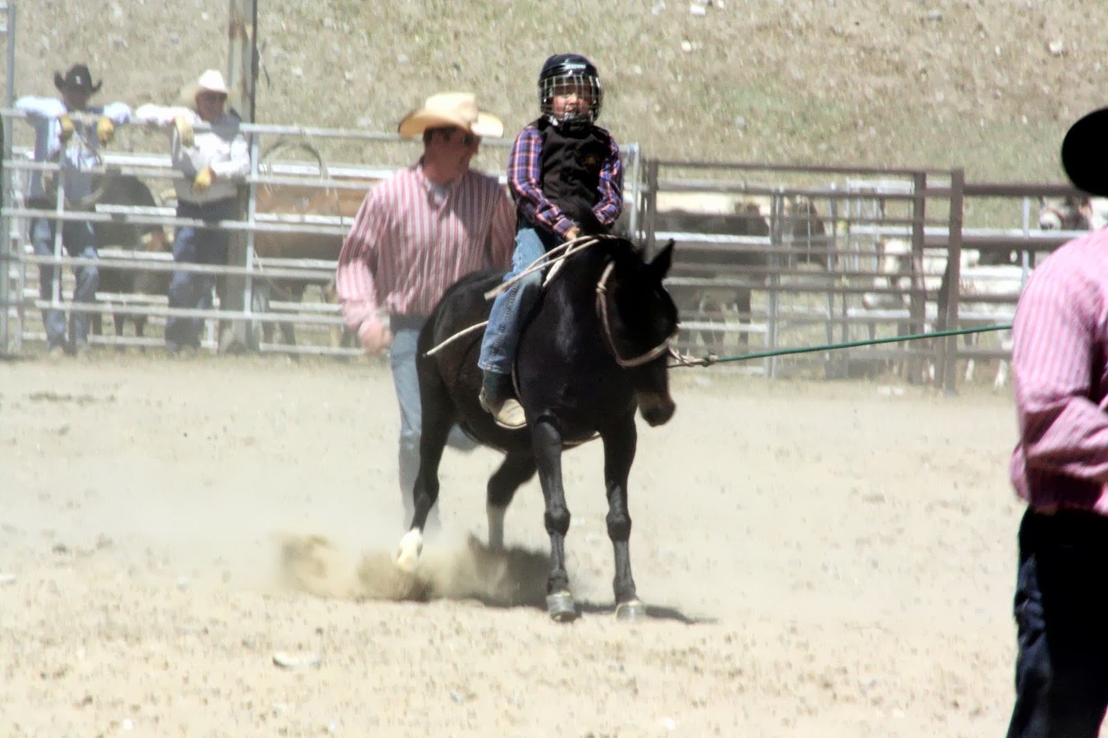 PairADice Mules: Jake Clark Mule Days Rodeo