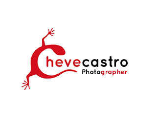 Desain Logo Inspiratif Disertai Gambar Cicak Dan Kadal ~ Kreatifv