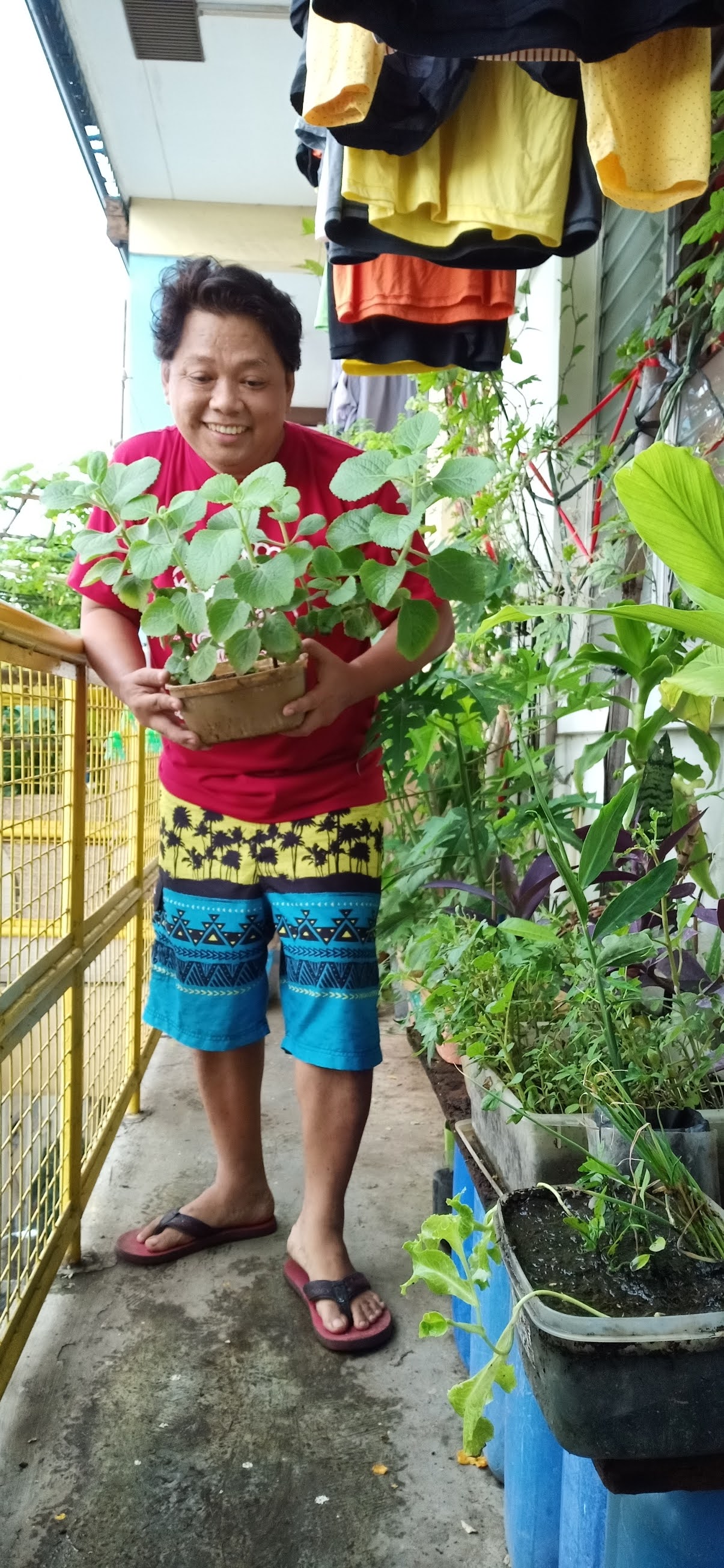 Different Kinds of Plantito/Plantita Visualized ~ Wazzup Pilipinas News ...