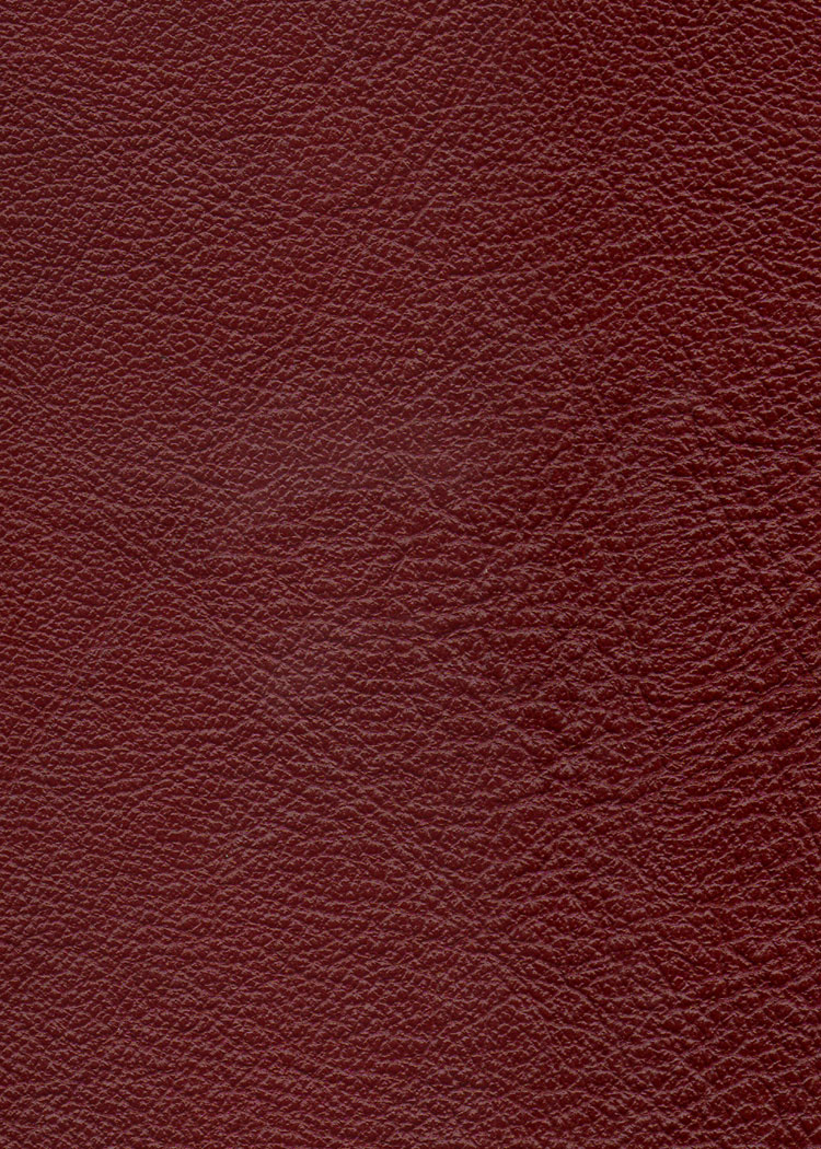 COURO PARA REVESTIMENTO E ESTOFAMENTO - CORES DIRANI 2012 | EMPORIO DIRANI