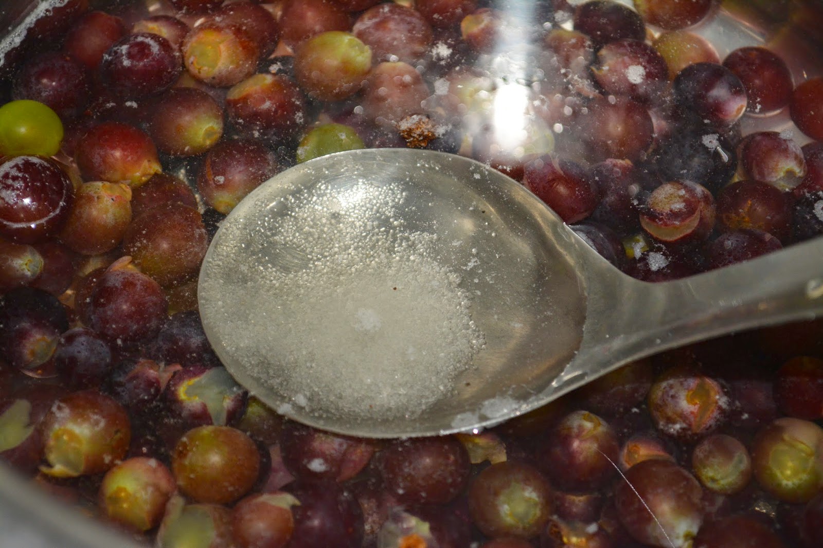 Grape Squash Recipe - Kottayam Kitchen