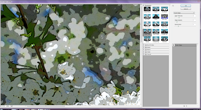 Photographing Flowers: Flower Edge Effects in Photoshop