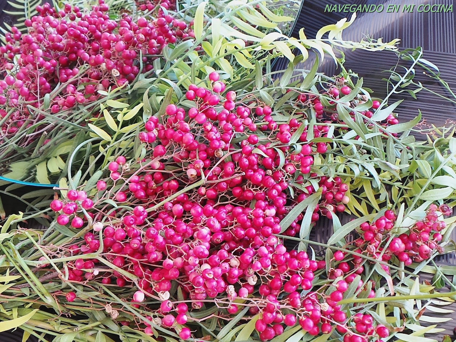Navegando en mi Cocina: PIMIENTA ROSA
