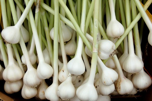 Behind the French Menu: Ail - Garlic. Garlic in French Cuisine.
