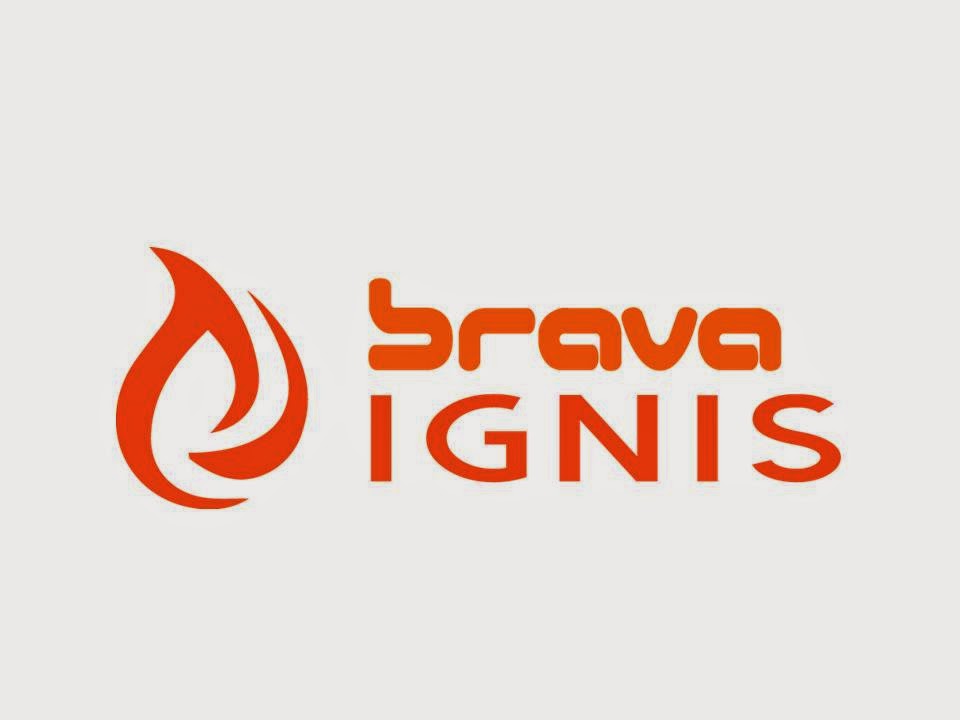 Aceite de motor | Brava Motor Oil: Brava Motor Oil - Aceites de motor