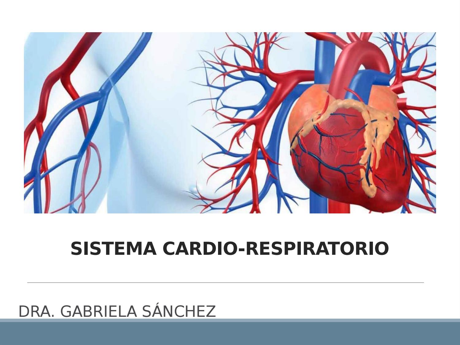 El sistema cardio-respiratorio.