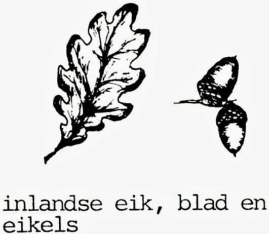 Oude Wandelgidsen van Renkum: WANDELING OVER HET LANDGOED QUADENOORD (IVN)