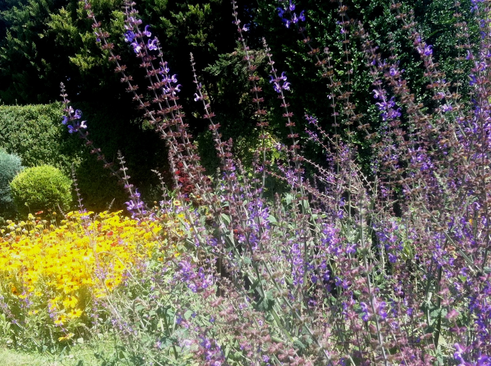 Time in the garden: Grădina Reginei Maria a României de la Balcic