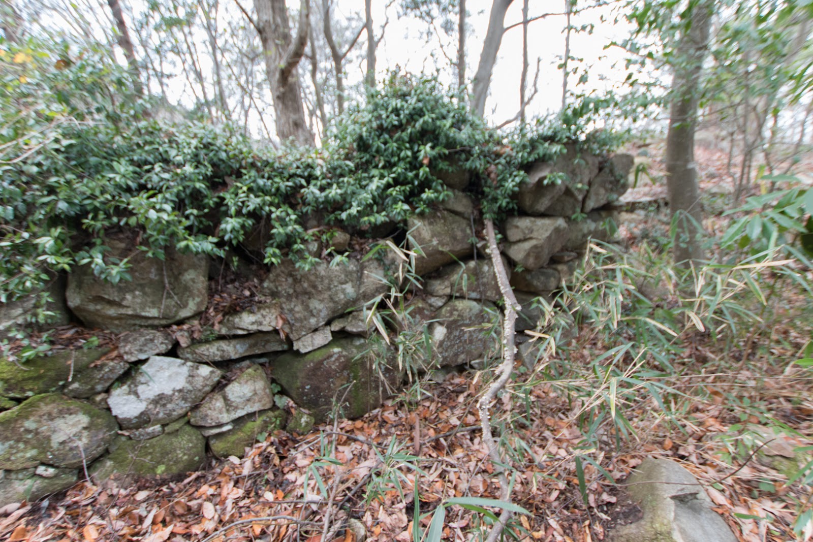 Kannonji Castle -History of warlord next to capital (2) economic ...