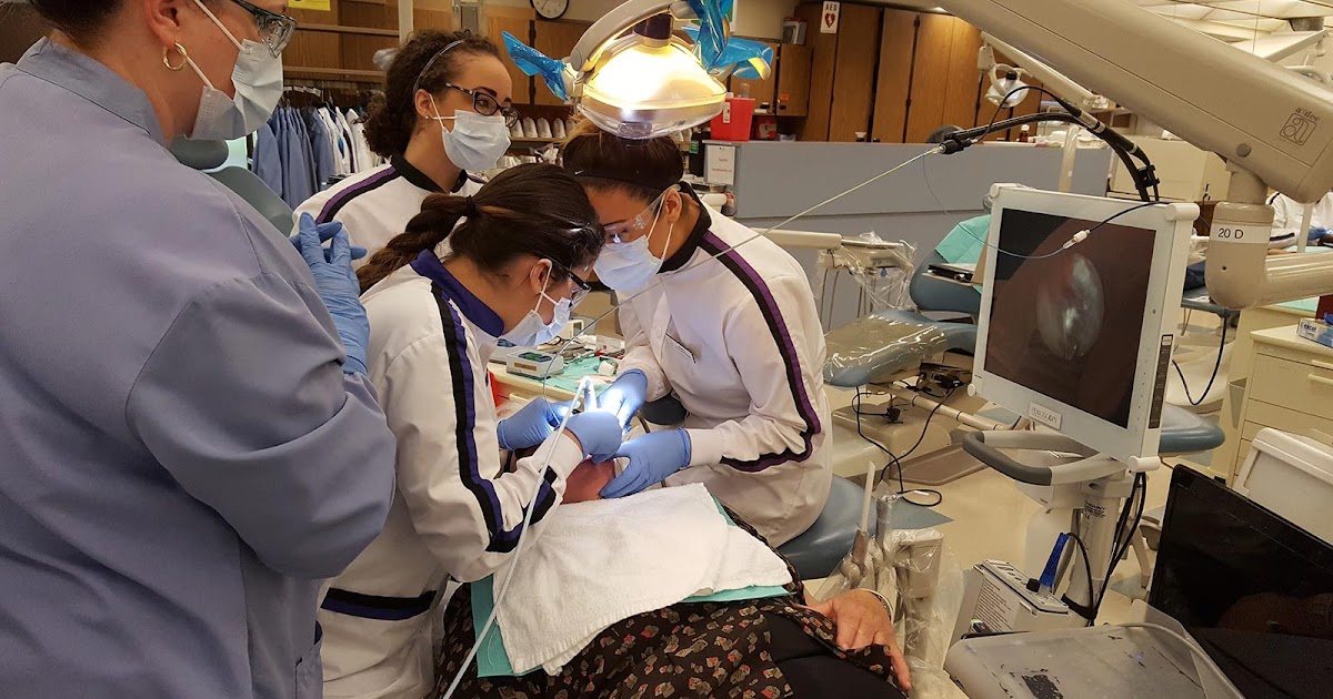 Shoreline Area News: Dental Hygiene program at Shoreline Community ...