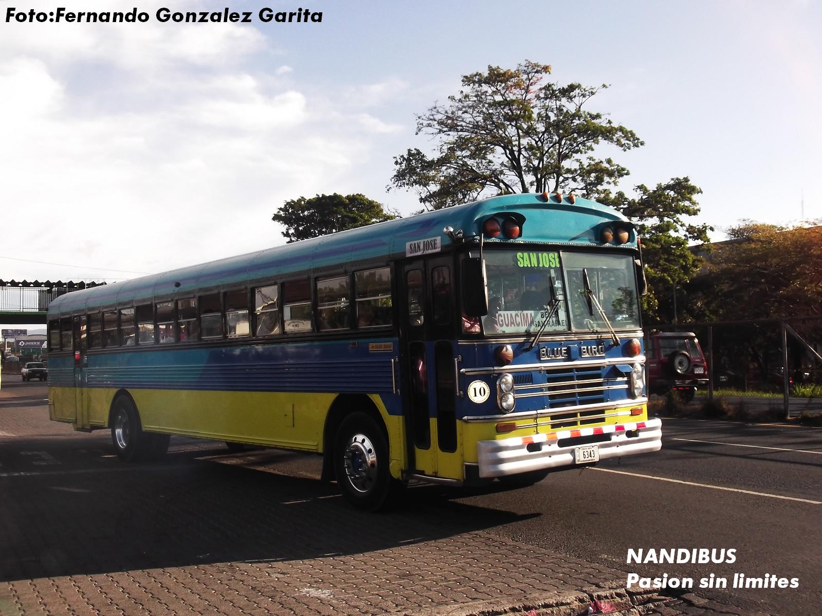 nandibus: Buses por todo lado parte 1