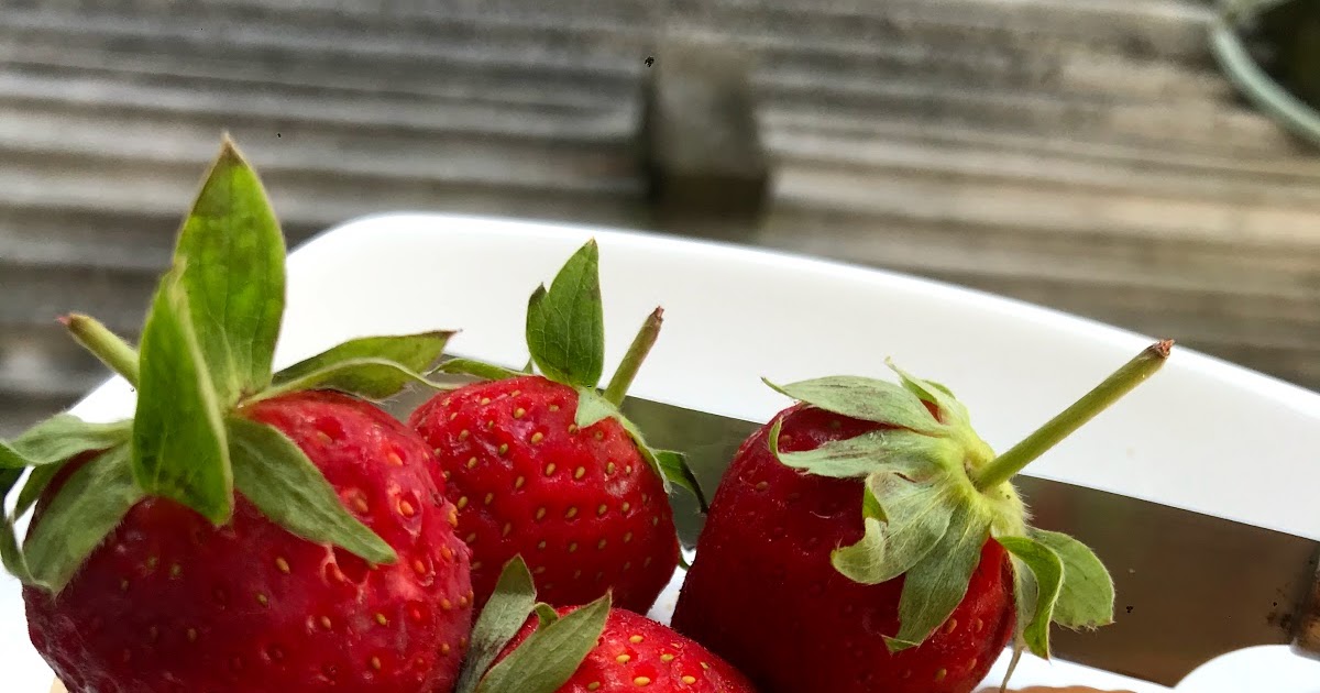 Remy's Strawberry and Cheese