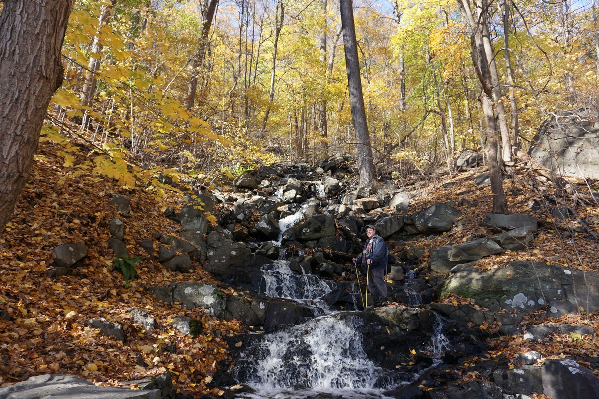 Harriman Hiker: Harriman State Park and Beyond: Forest View Trail to ...
