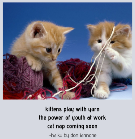 CARPE DIEM HAIKU KAI: Carpe Diem #1816 kittens
