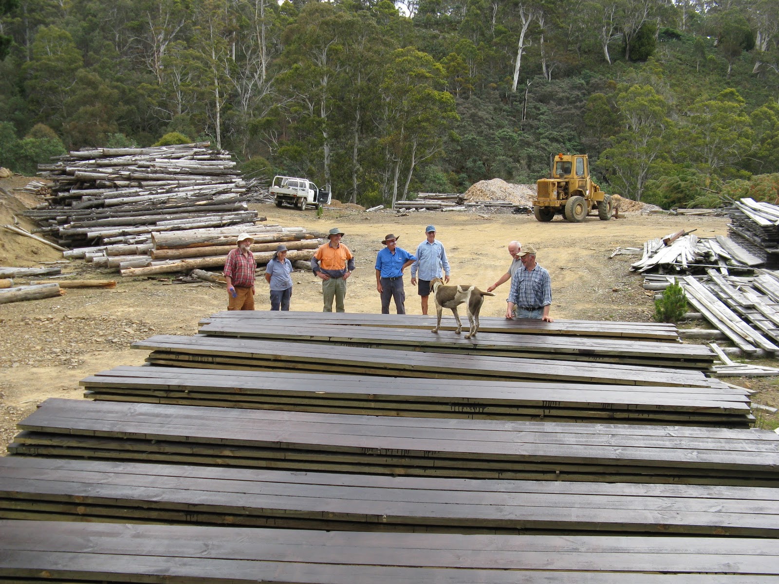 Preparing Timber