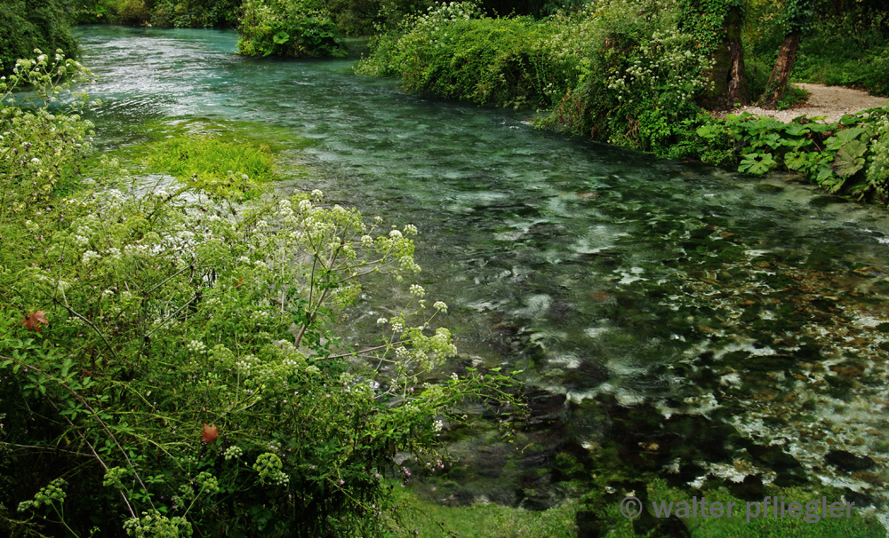 Nature photos from an Amateur Naturalist: Syri i Kaltër, Albania (Syri ...