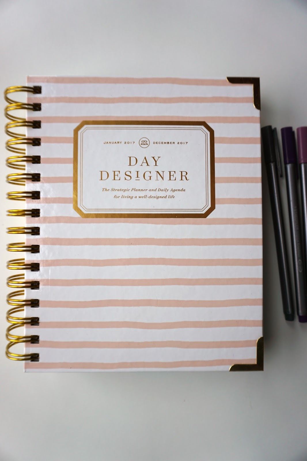 In a lab coat: daydesigner mini review