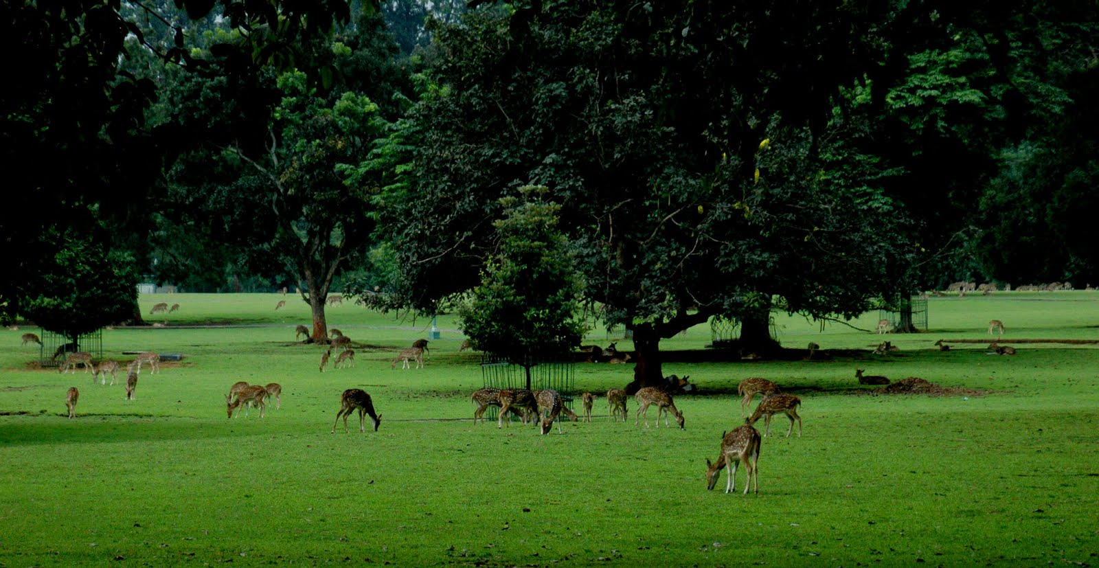 >> Wisata Terkenal Kebun Raya Bogor, Harga Tiket Masuk, Petunjuk Lokasi ...