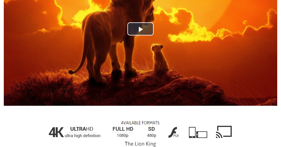 The Lion King (2019): The Lion King (2019)