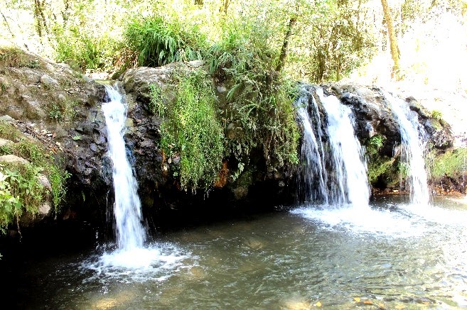 Edoméx en línea: Coatepec Harinas: Con la tradición de sus orígenes