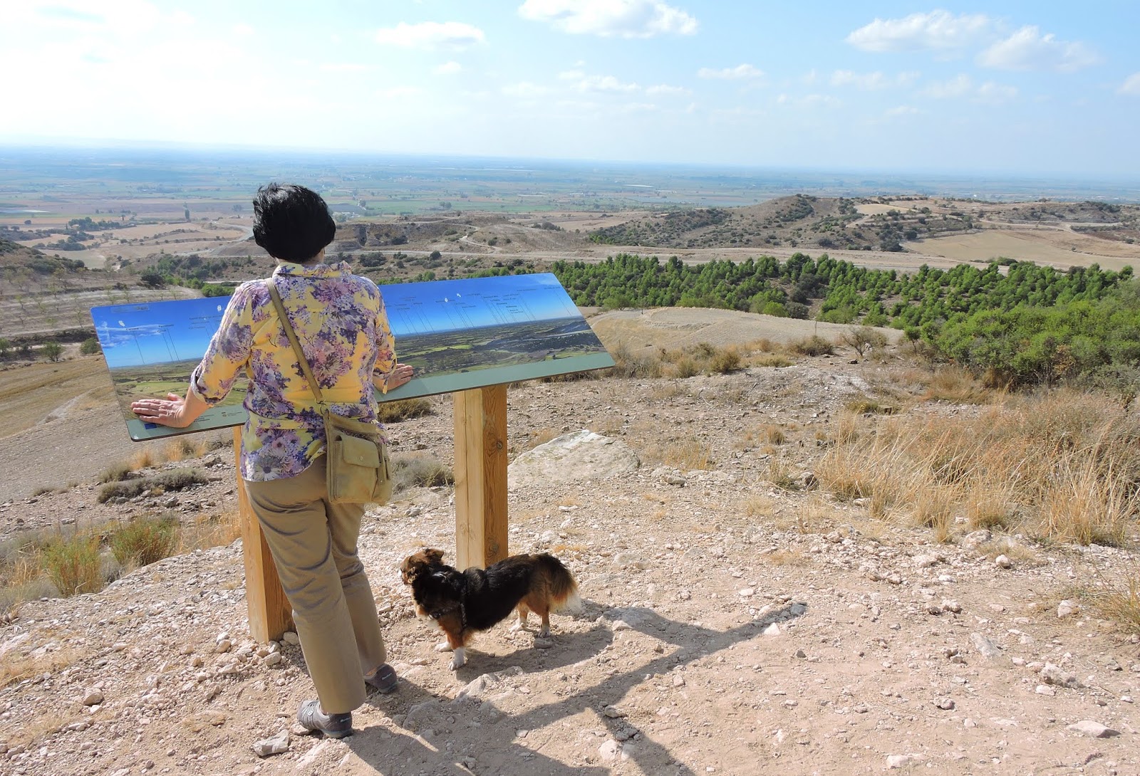 Blog del Màrius Domingo, Ca la Gallineta: El pilar d'Almenara.