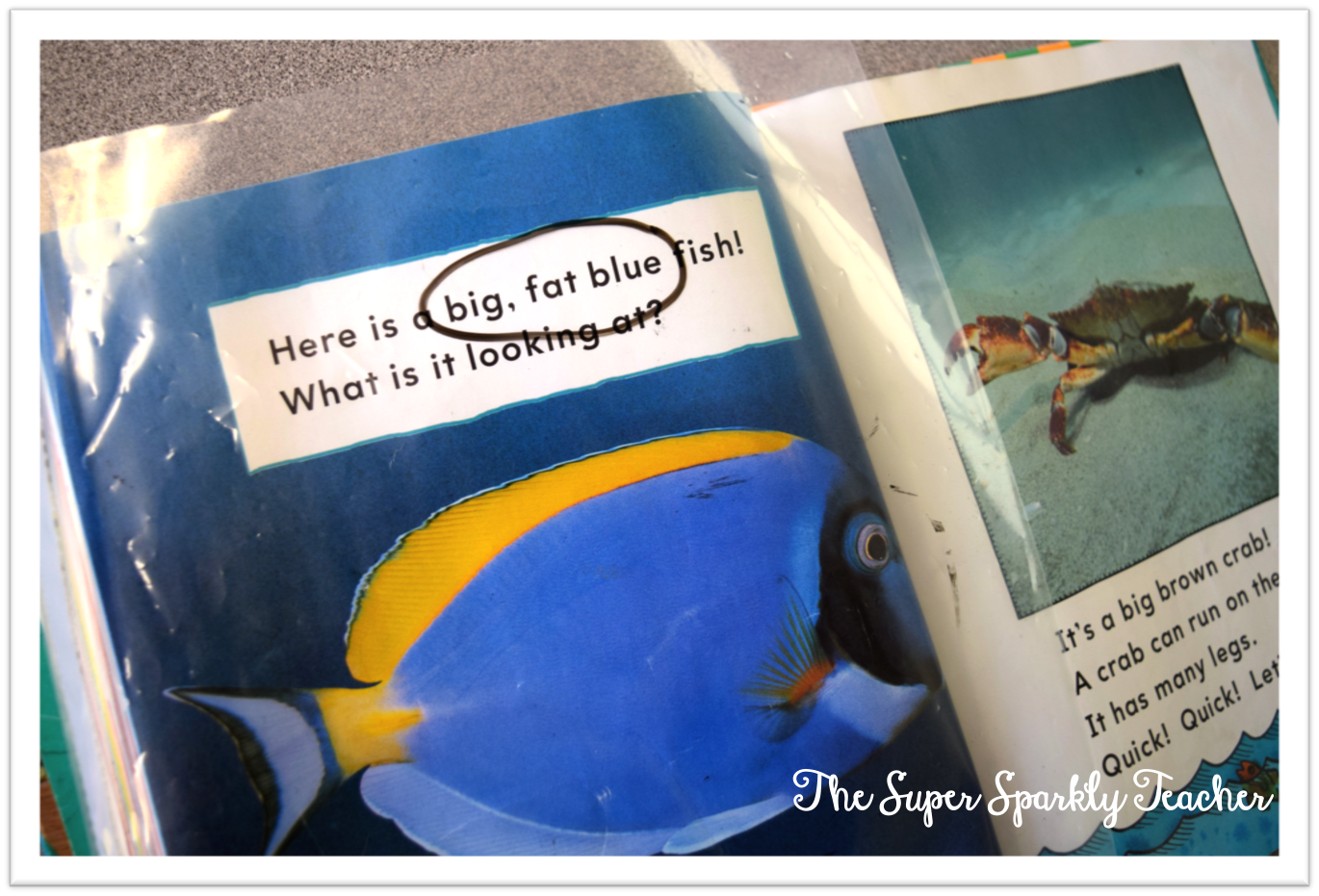 The Super Sparkly Teacher: Find Text Evidence like a Detective!