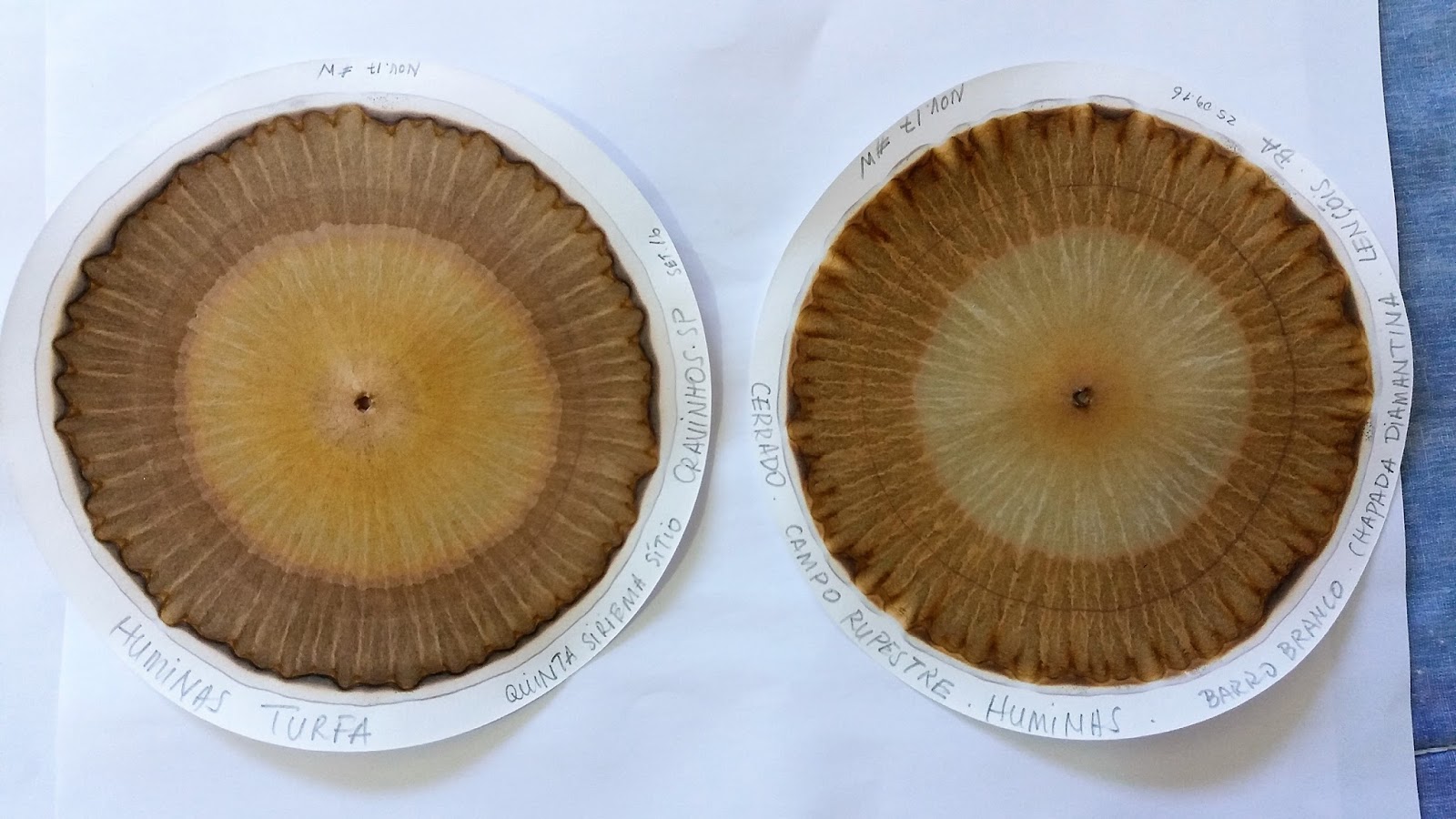 AgroBonômica: Huminas
