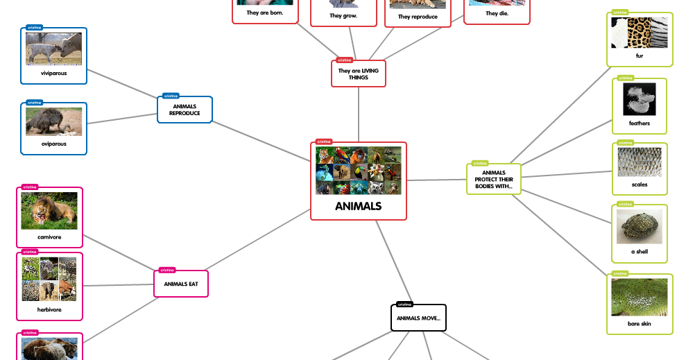SCIENCE 1º: UNIT 4: CONCEPT MAP
