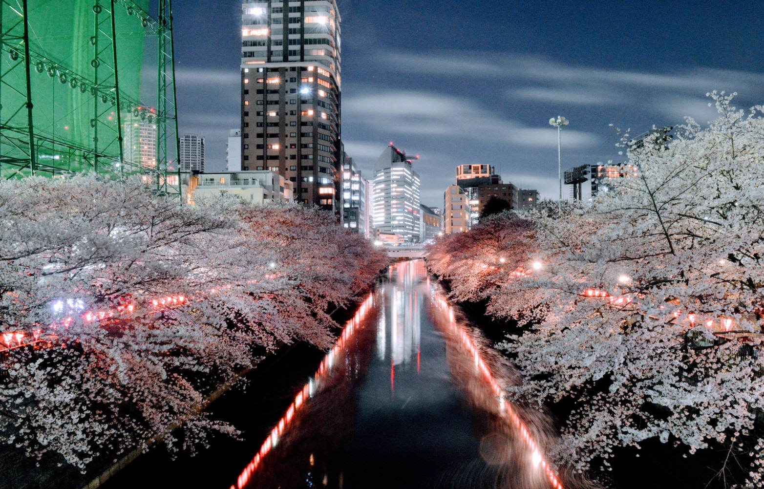 Meguro River, Cherry Blossoms, Tokyo, Japan (with Map & Photos)