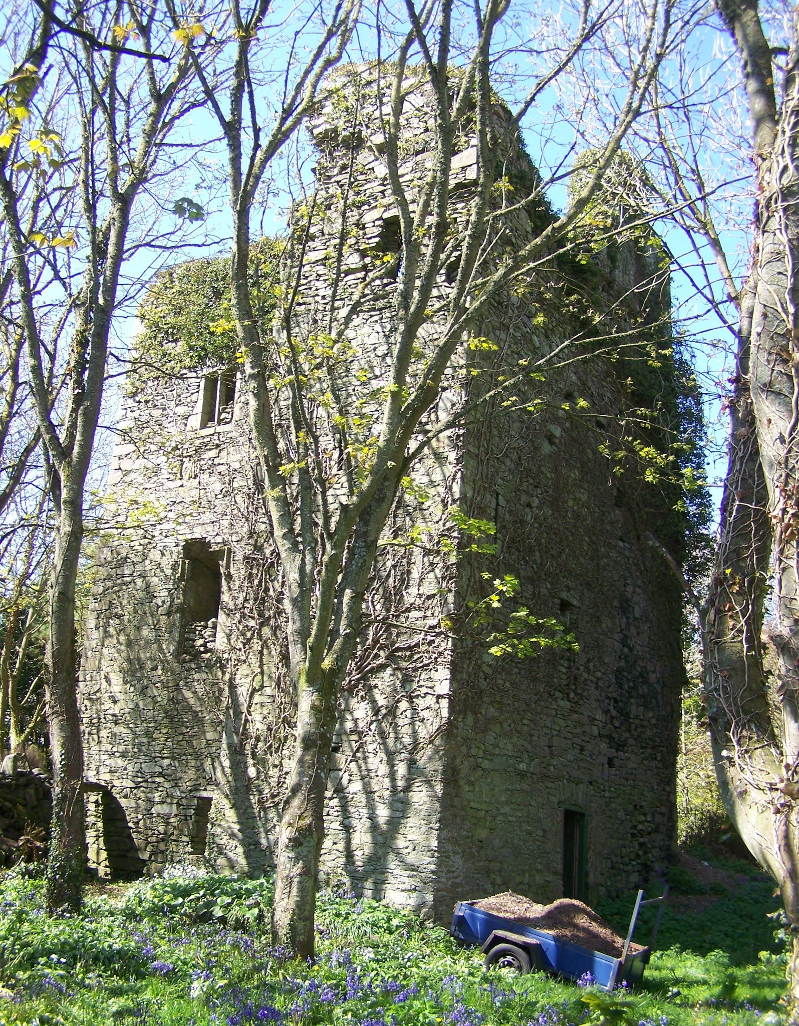 Irish Heraldry: Where in the County (11) Castles